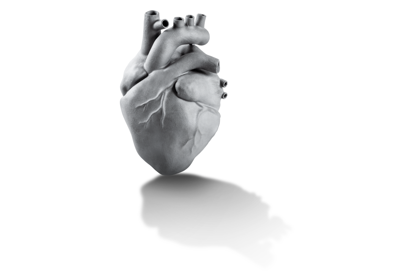 3D printing | Schunk Technical Ceramics